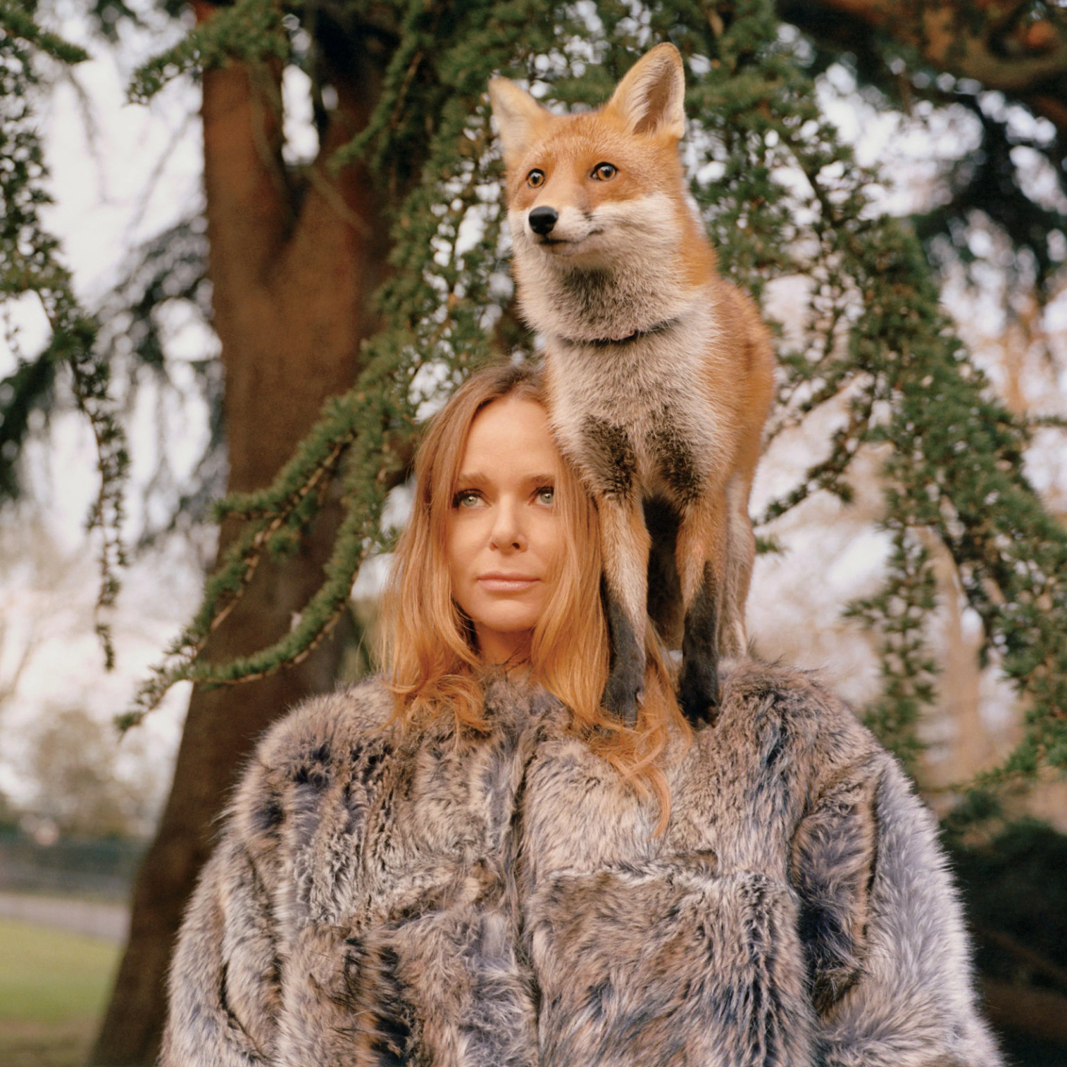 Proven Luxury Branding Strategies: Inspiring Examples from Top Brands ...